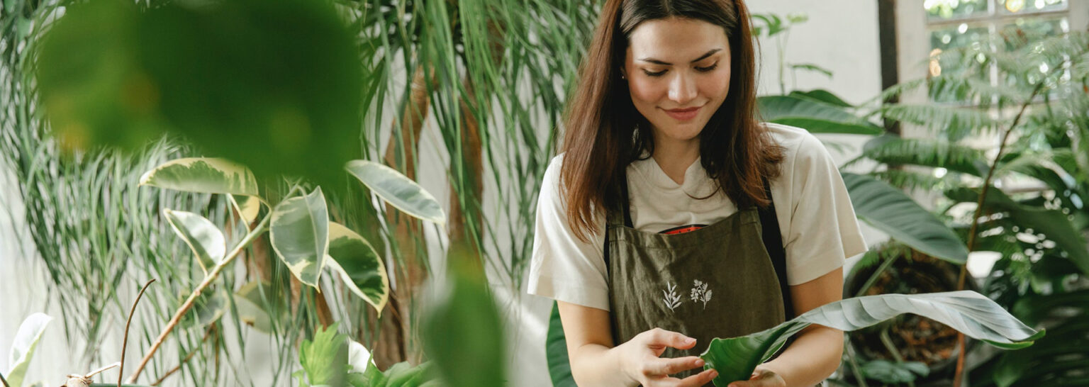 Chase Total Checking Bonus Offer: $300 for New Accounts